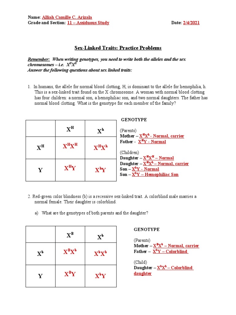 Sex-Linked Traits: Practice Problems: X X X X X Y X Y | PDF | Genotype ...