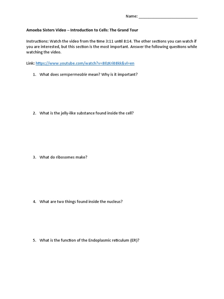 Amoeba Sisters Video Questions | PDF