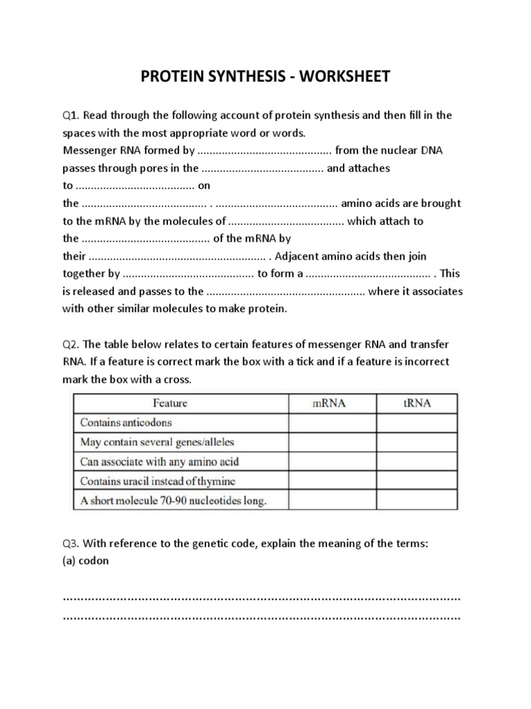 Protein Synthesis - Worksheet | PDF | Genetic Code | Dna
