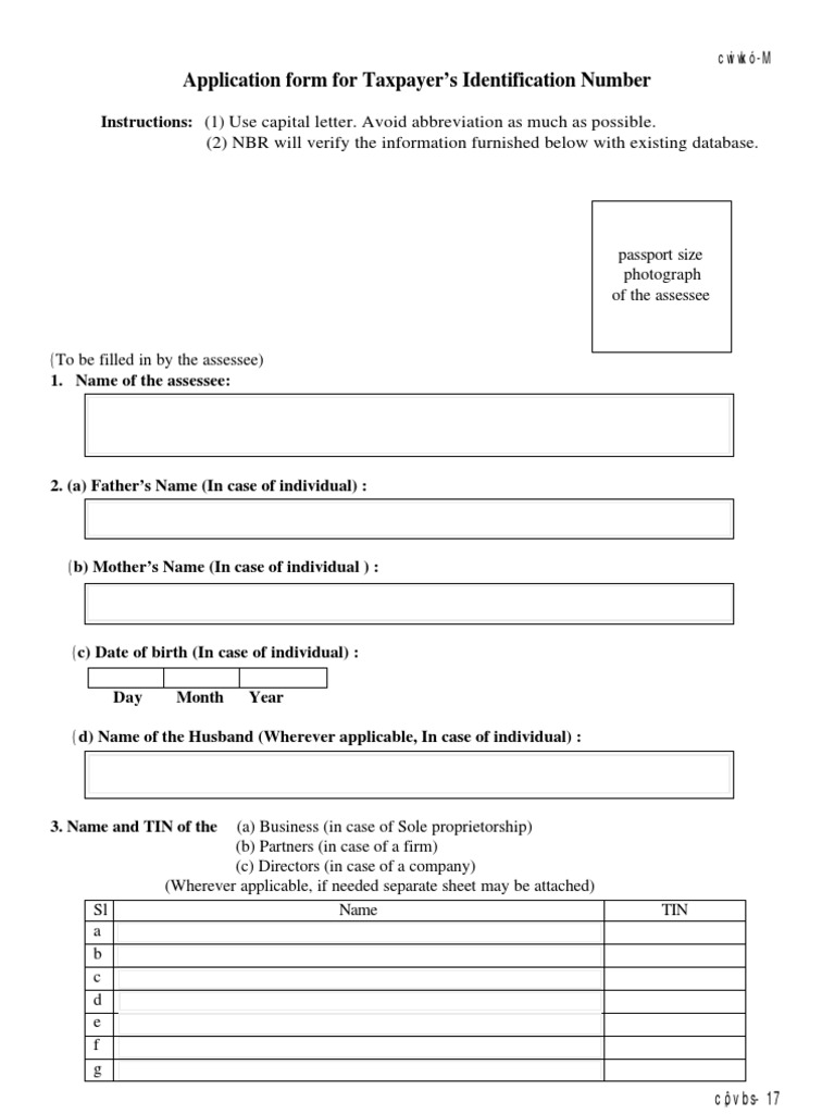 Application Form For Taxpayer's Identification Number | PDF | Taxes ...