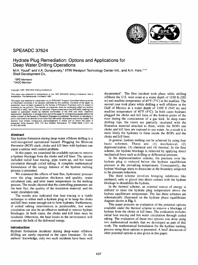 Hydrate Plug Remediation Options and Applications For Deep Water ...