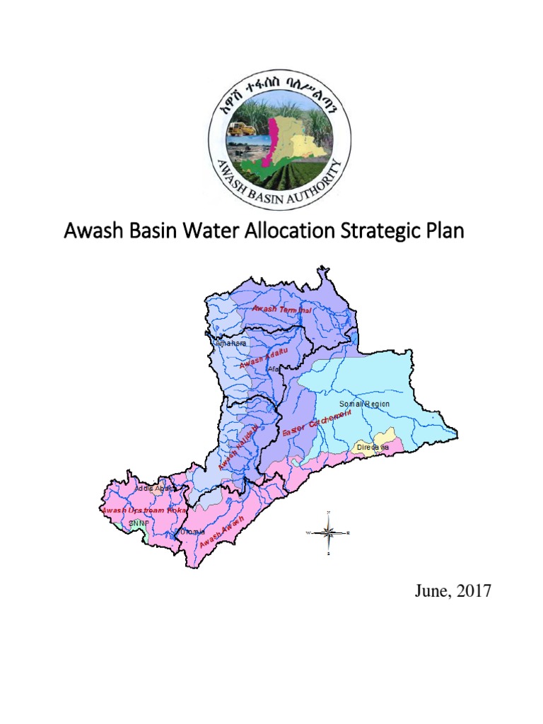Awash Basin Water Allocation Strategy | PDF | Water Resources | Ethiopia