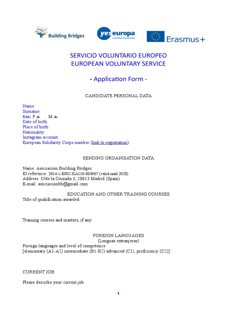European Volunteer Application | PDF | Privacy | Business