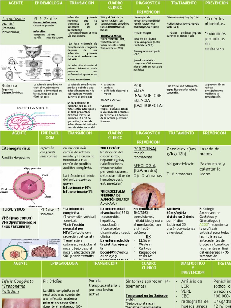 Cuadros de Torch | PDF | Enfermedades y trastornos | Medicina CLINICA