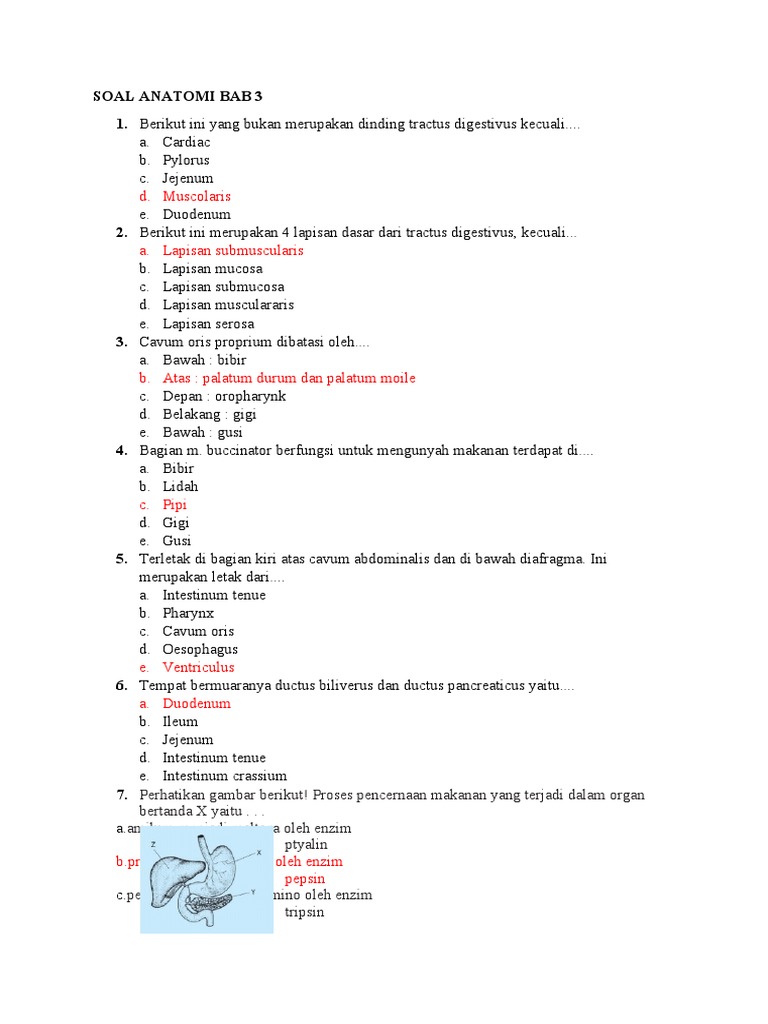 Soal Anatomi Bab 3 Pdf