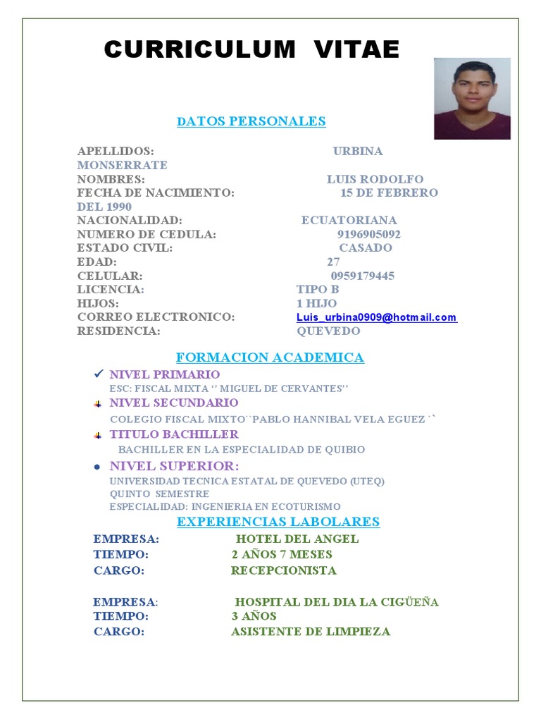 Curriculum Vitae Luis | PDF