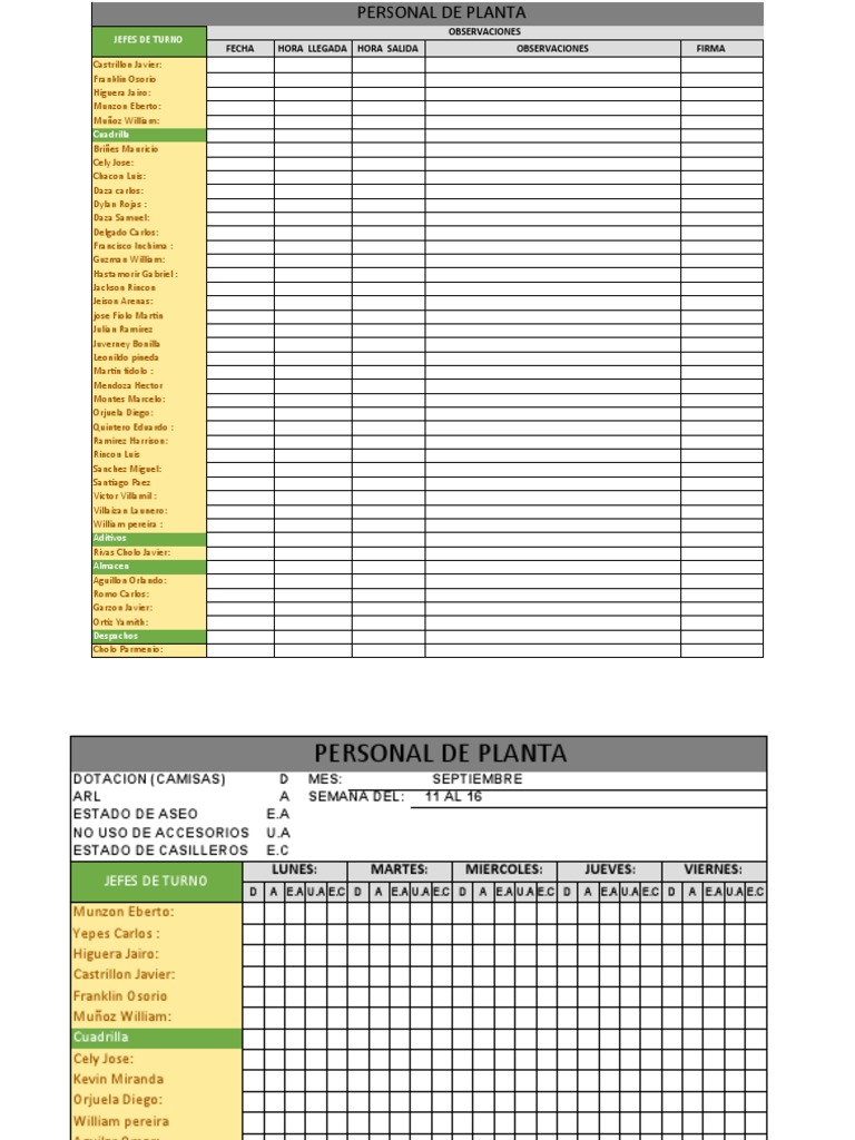 Formato Llegada Tarde | PDF | Informática y tecnología de la información | Business