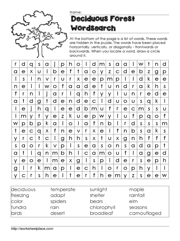 Deciduous Wordsearch | PDF
