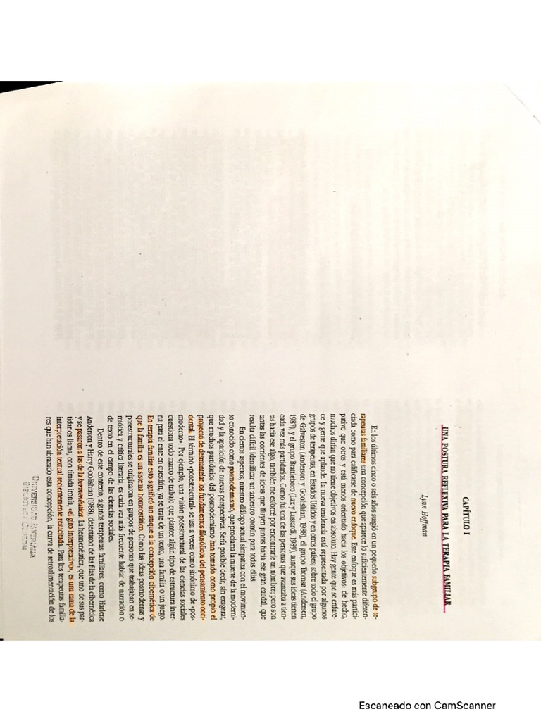 Una Postura Reflexiva para La Terapia Familiar. Hoffman | PDF