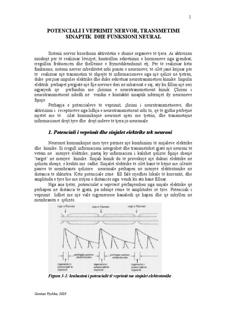 Neuroni Dhe Potencialet Membranore | PDF