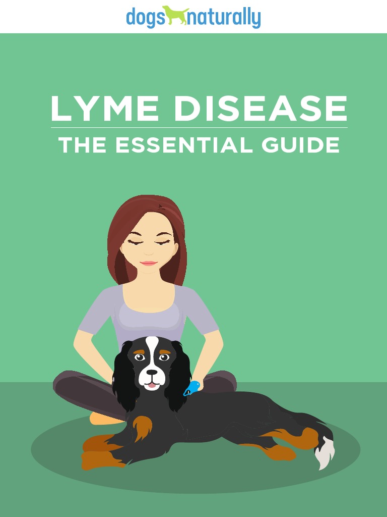 Lyme Disease: The Essential Guide | PDF | Lyme Disease | Medical Specialties