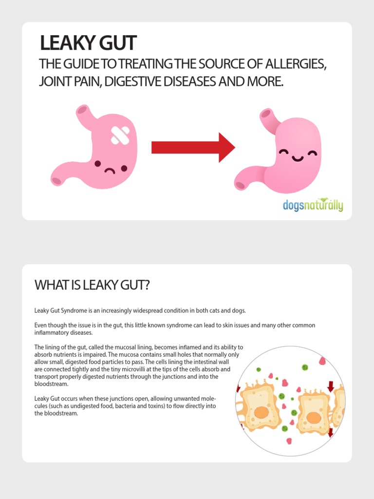 A Three-Step Plan to Repairing Leaky Gut: Removing Causes, Rebalancing ...