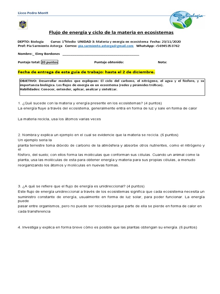 1°M Biología. Guía de Trabajo. Flujo de Energía y Ciclo de La Materia ...
