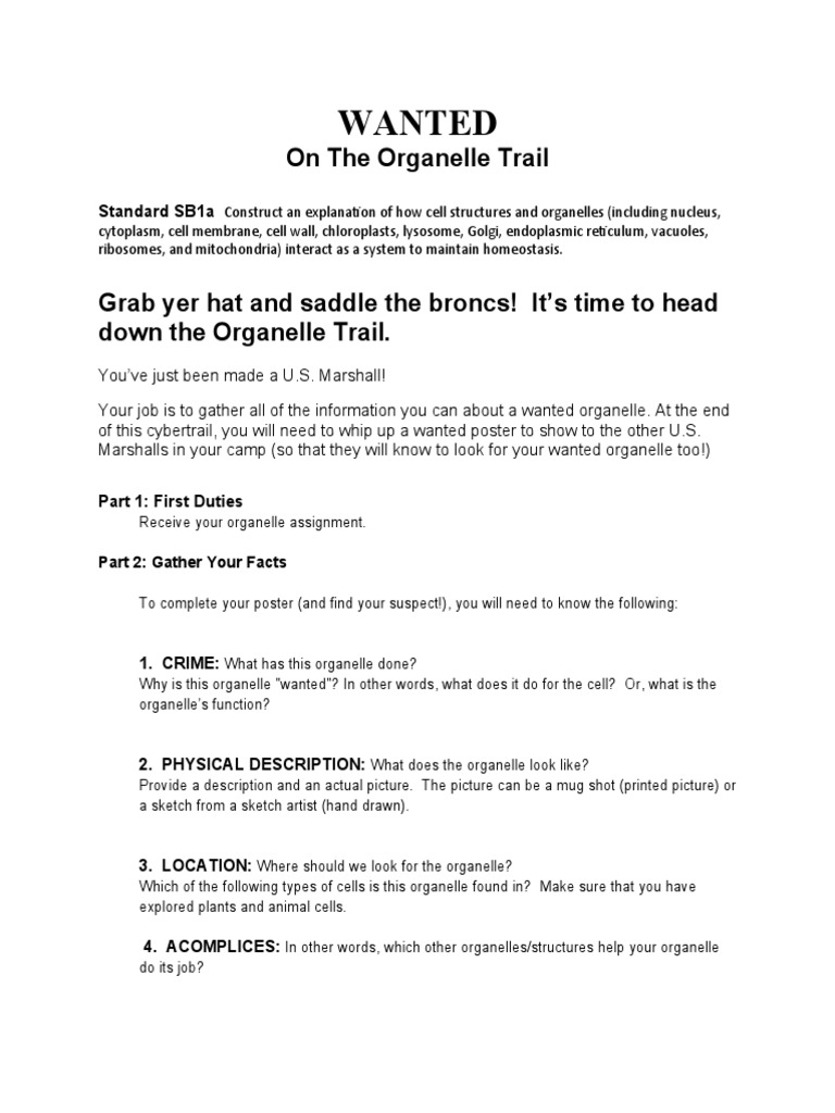 Wanted: On The Organelle Trail | PDF | Organelle | Cell Wall