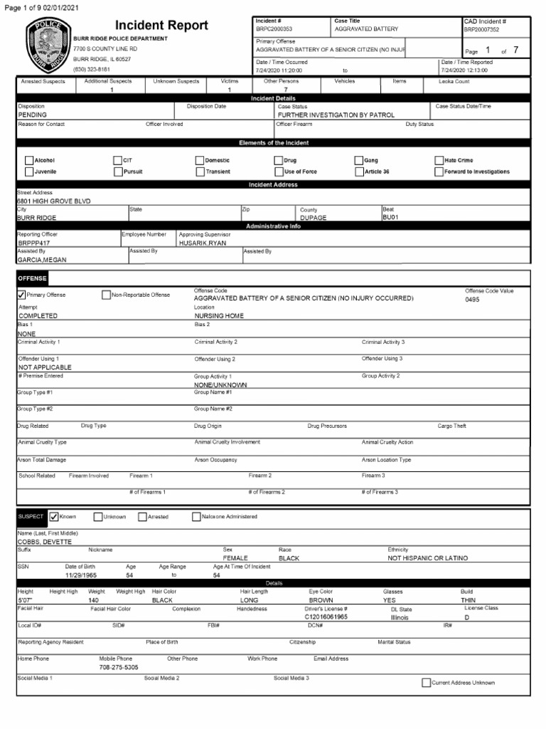 Burr Ridge Police Report Devette Cobbs | PDF | Battery (Crime) | Crime ...