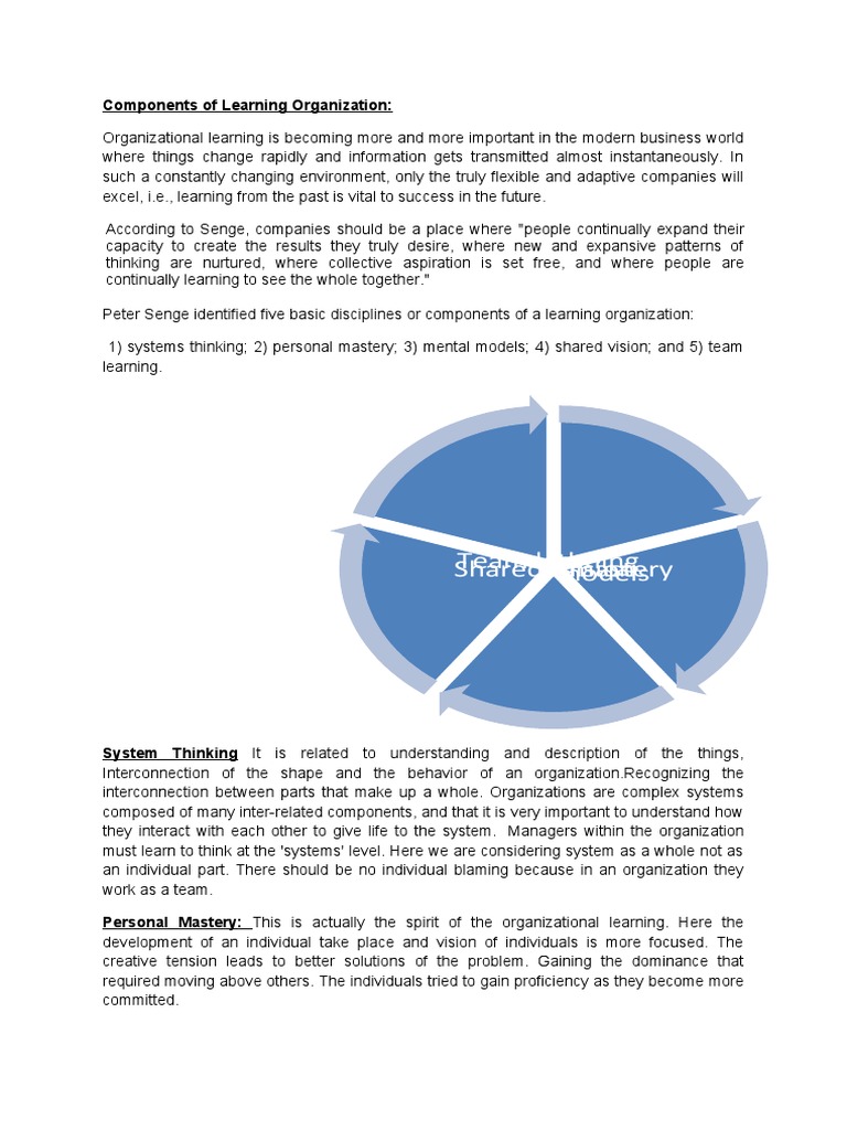 Components of Learning Organizations | PDF | System | Visual Perception