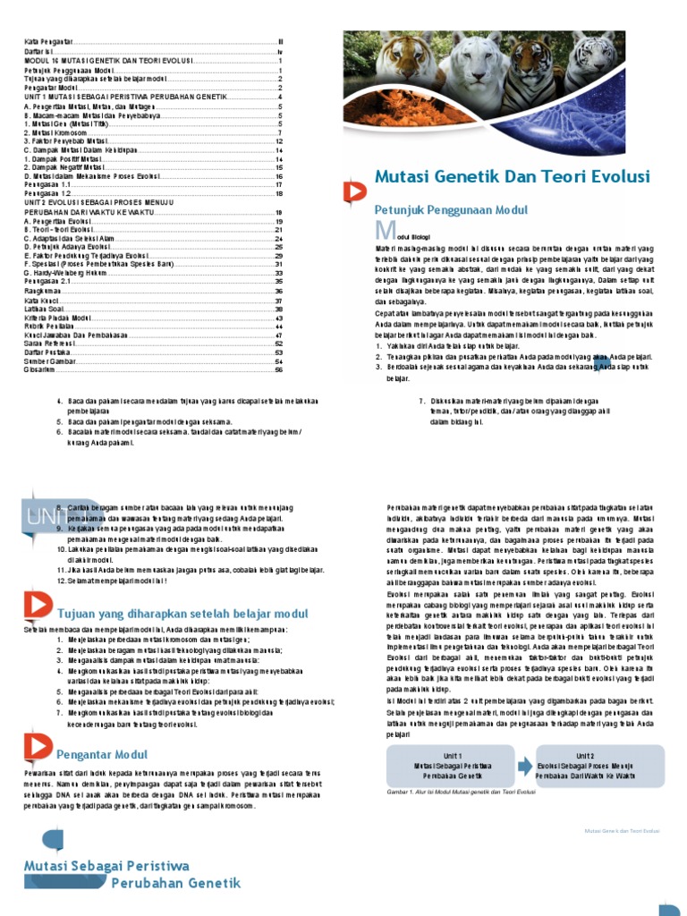 Modul Mutasi Ok | PDF
