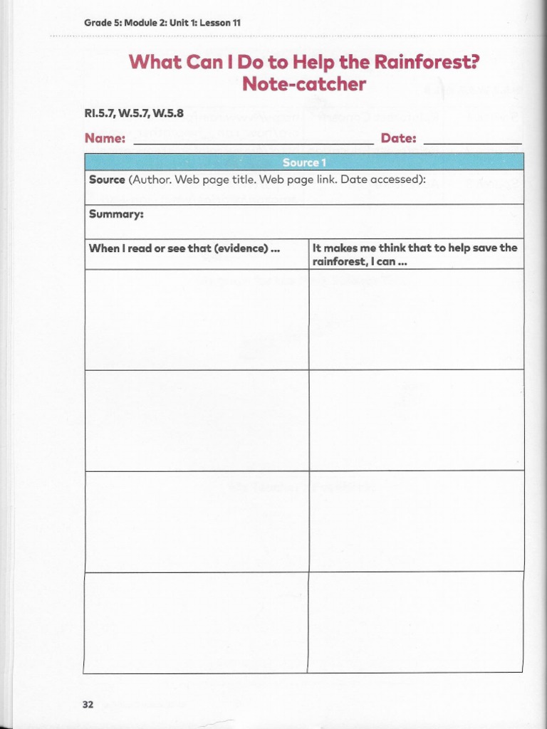 What Can I Do? (Note Catcher) - Rainforest | PDF