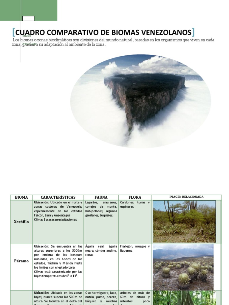 Biomas de Venezuela | PDF | Selva | Venezuela