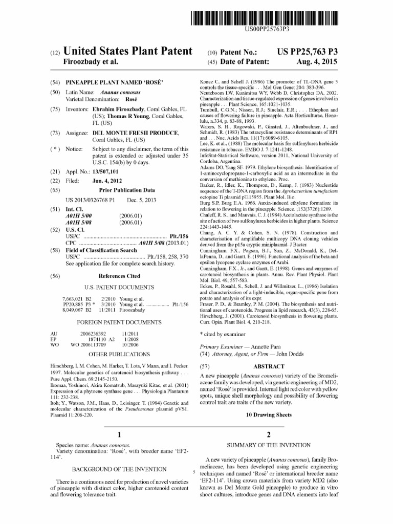 United States Plant Patent: Firoozbadly Et Al. Aug. 4, 2015 | PDF ...