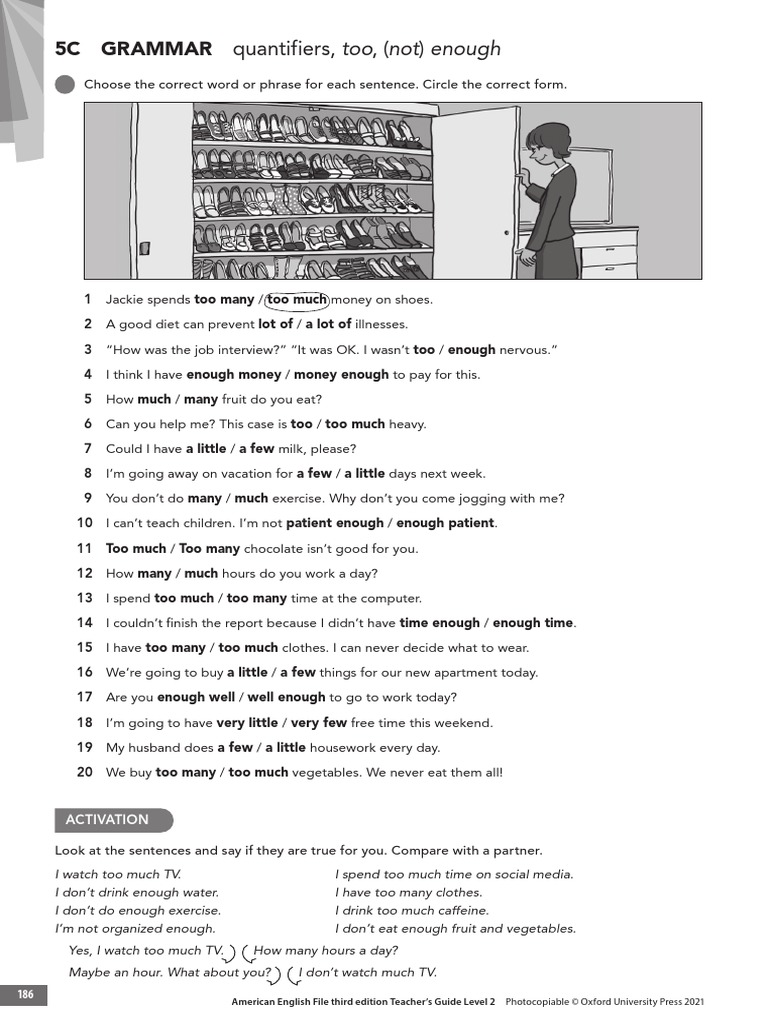 AEF3e Level 2 TG PCM Grammar 5C | PDF