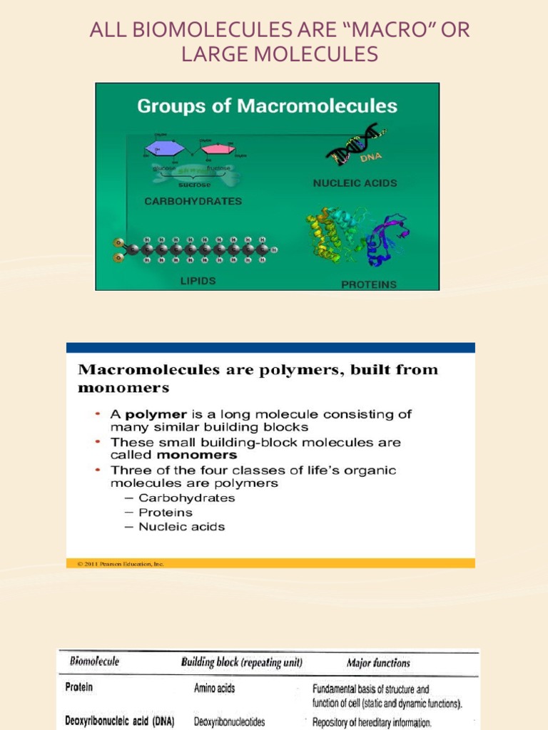 Carbohydrates Proteins and Lipids | PDF | Macromolecules | Fat