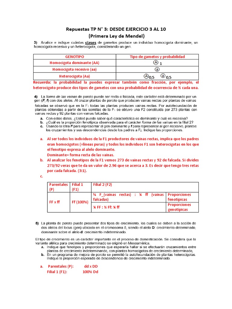 Respuestas Ejercicios TP3. 1ra Ley | PDF | Dominancia (Genética) | Evolución biológica