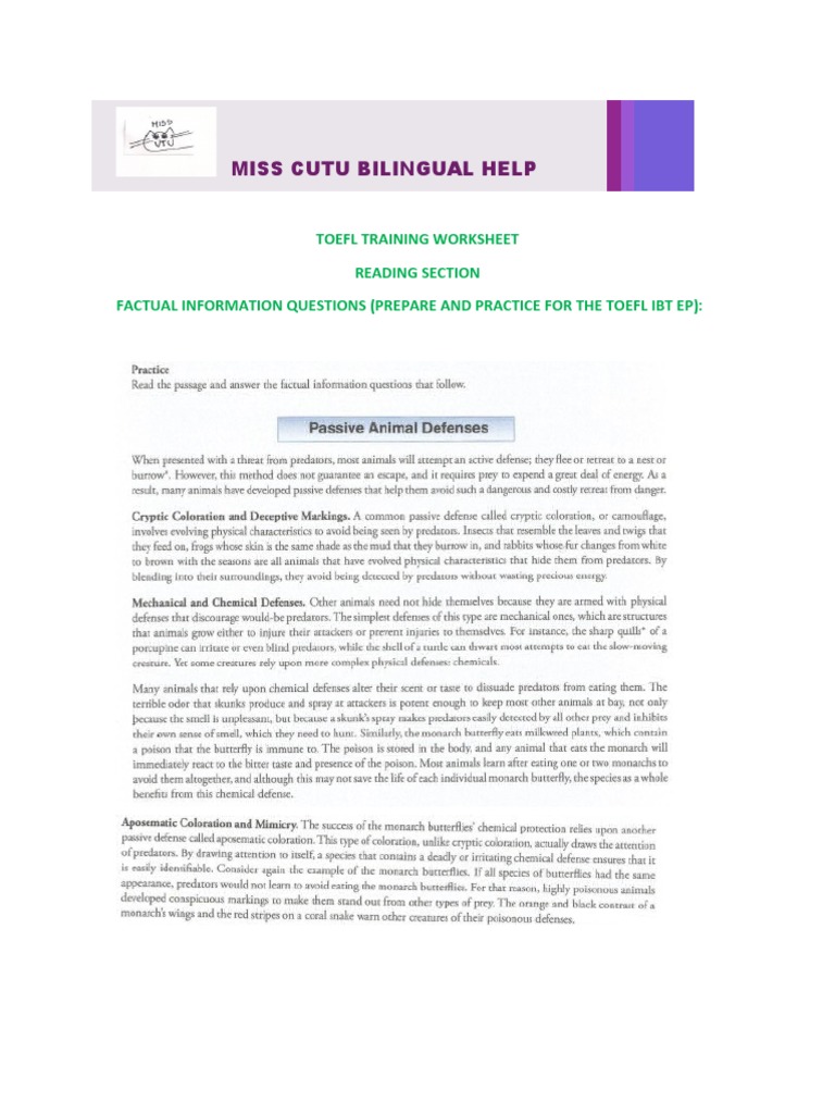 Factual Information Questions Worksheet | PDF