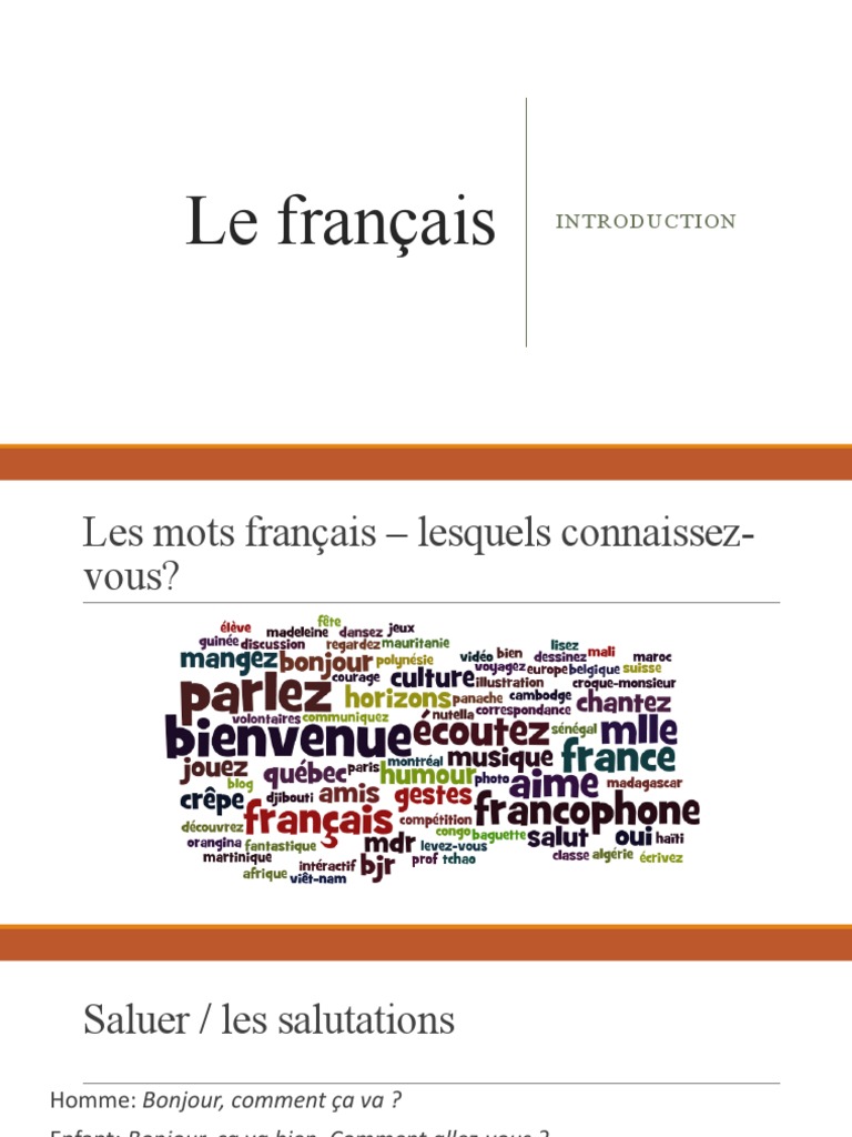 Lesson 1 - Se Presenter Et Se Saluer | PDF