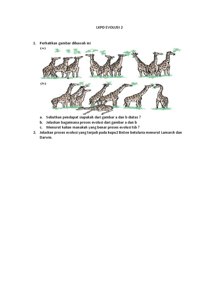 LKPD Evolusi 2 | PDF | Filsafat