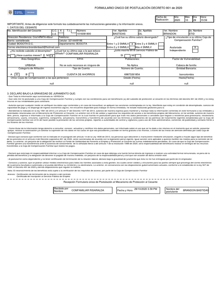 Formato Subsidio Confamiliar | PDF | Desempleo | Ciencias sociales
