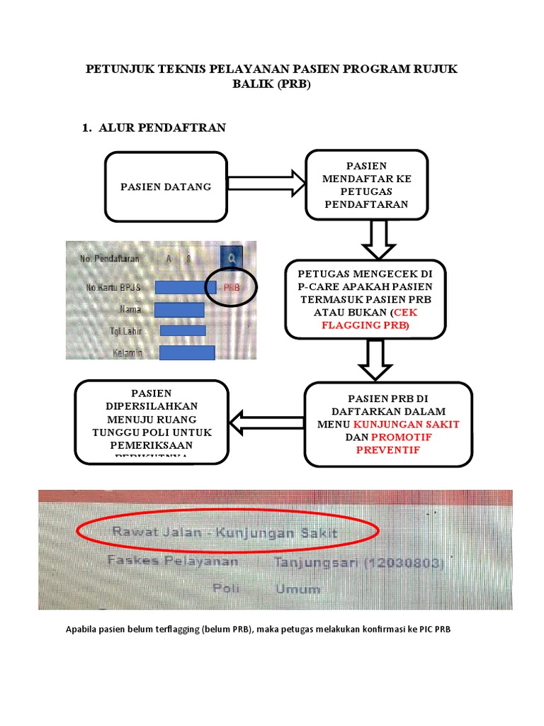 Alur Pelayanan Pasien Rujuk Balik PRB | PDF