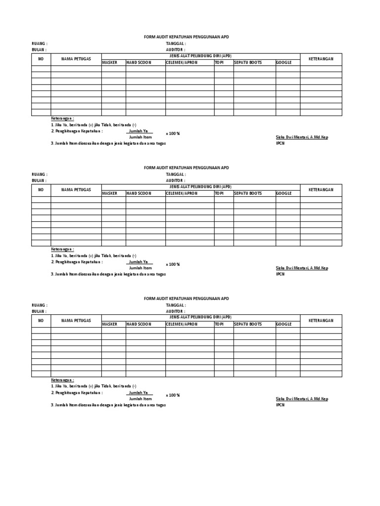Form Audit Apd 2020 | PDF