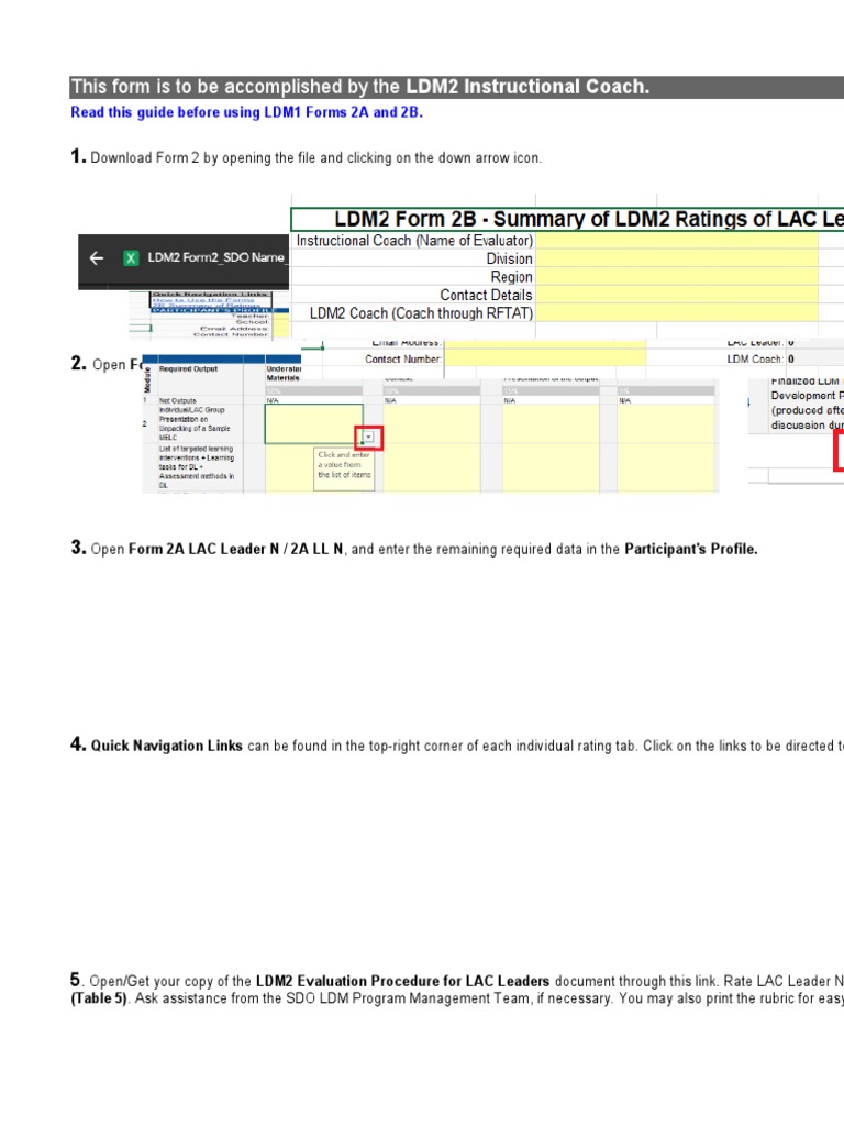 LDM2 Forms 2A & 2B Usage Guide | PDF | Learning | Computing