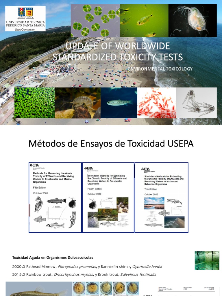 Update of Worldwide Standardized Toxicity Tests: Environmental ...