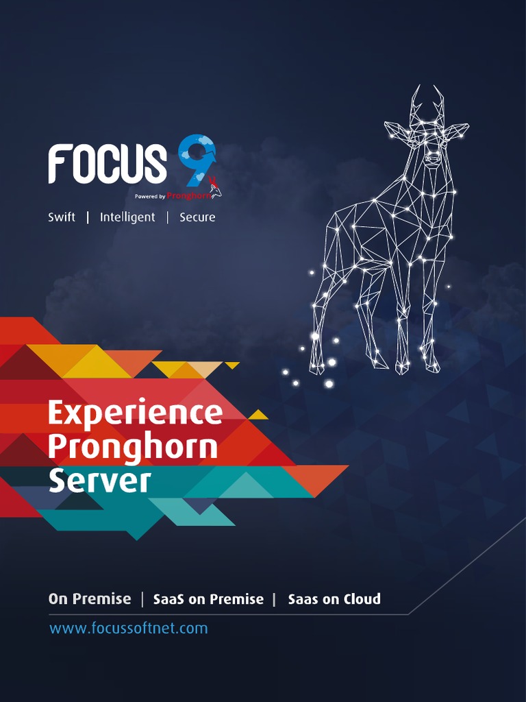 Focus 9-ERP | PDF | Databases | Enterprise Resource Planning