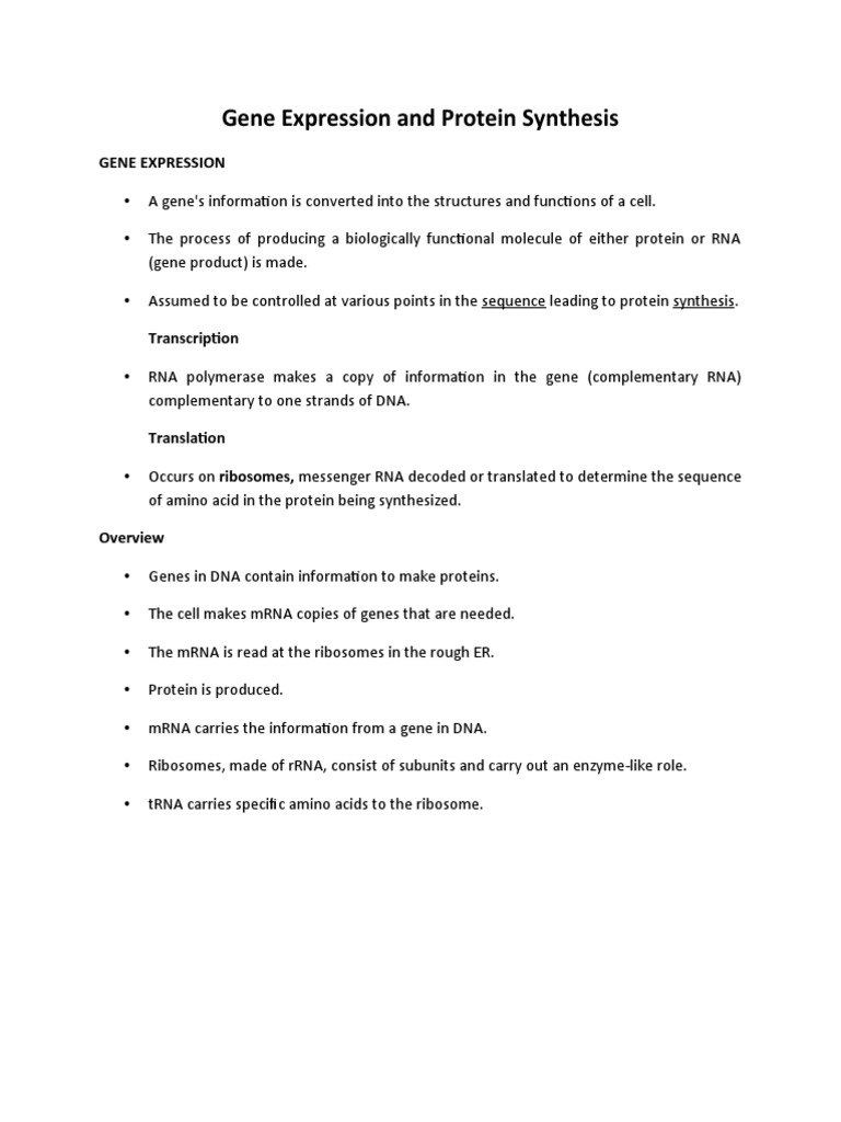 G. Gene Expression and Protein Synthesis | PDF | Translation (Biology ...