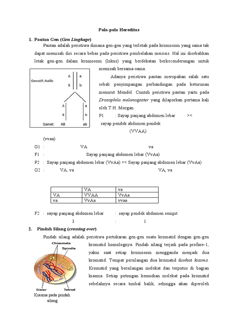 Modul Pindah Silang Pautan | PDF