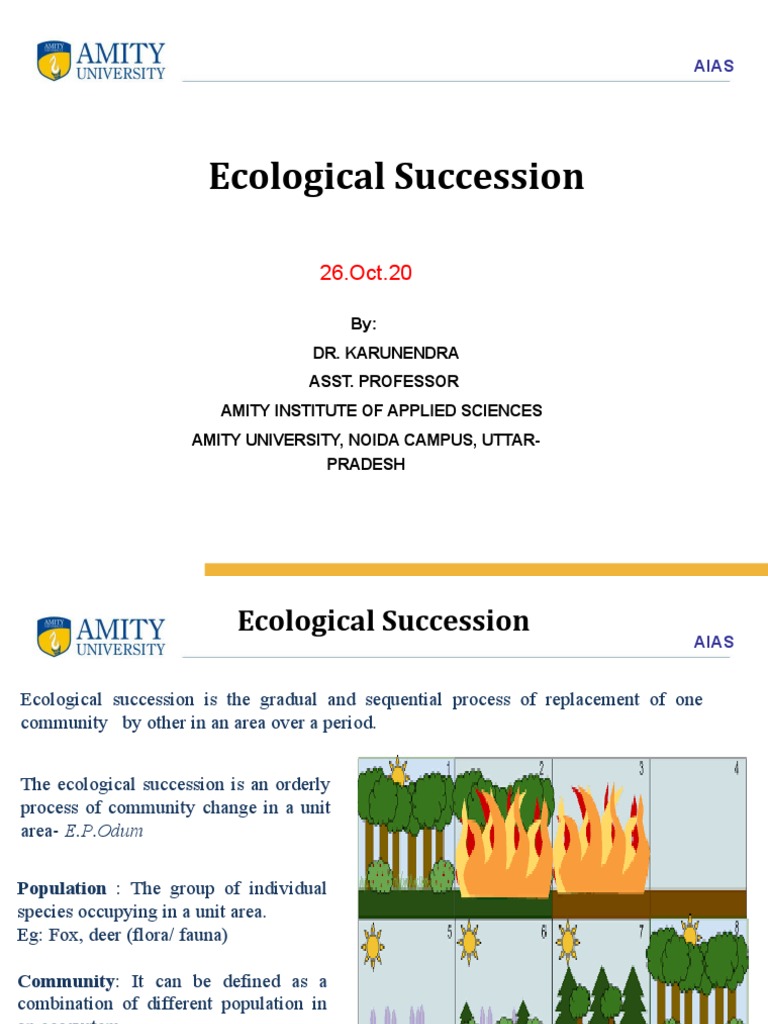 Ecological Succession | PDF | Ecology | Ecosystem