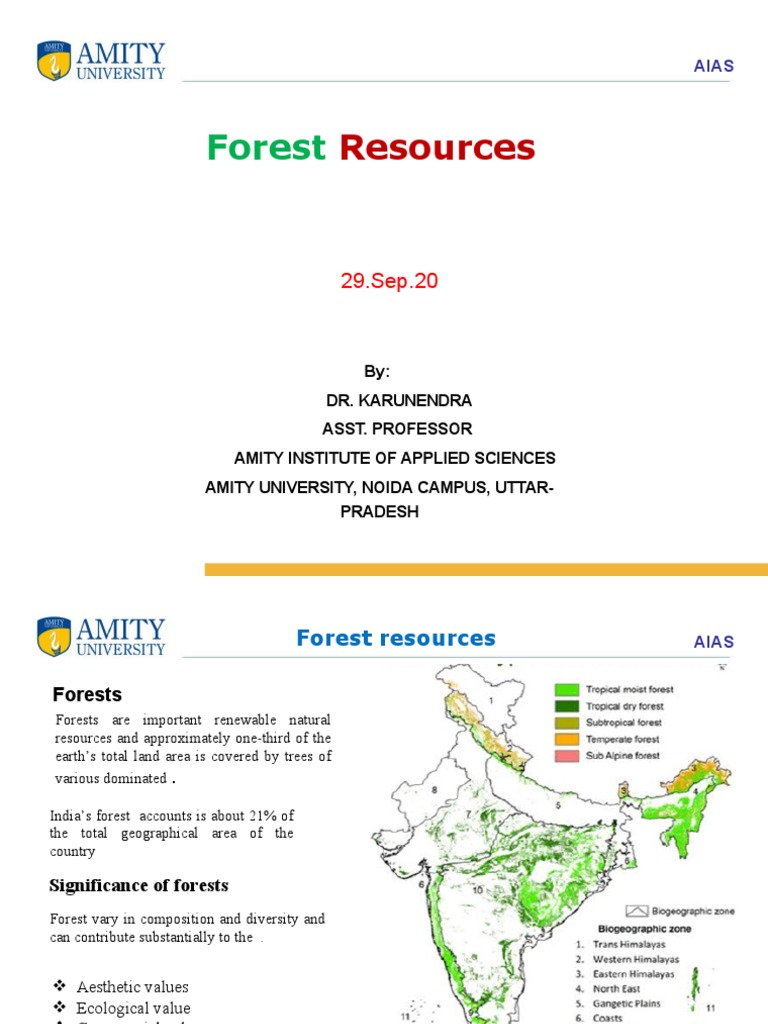 Forest Resources | PDF | Deforestation | Forests