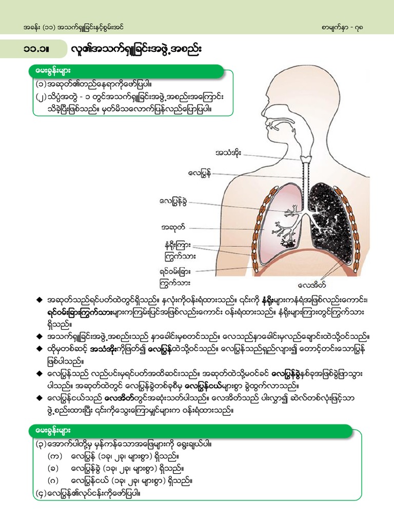 Science Sec-2 Level-2 Coursebook Part 4 | PDF