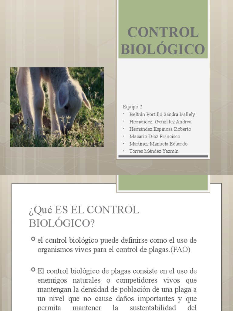 Control Biol - Gico de Malezas | PDF | Control biológico de plagas ...