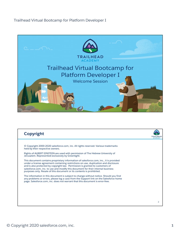 Trailhead Virtual Bootcamp For Platform Developer Slide Deck | PDF ...