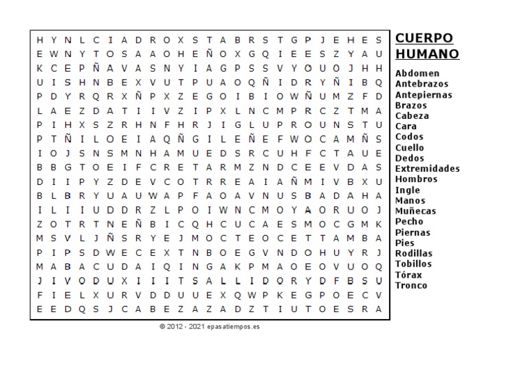 Sopa de Letras Cuerpo Humano | PDF