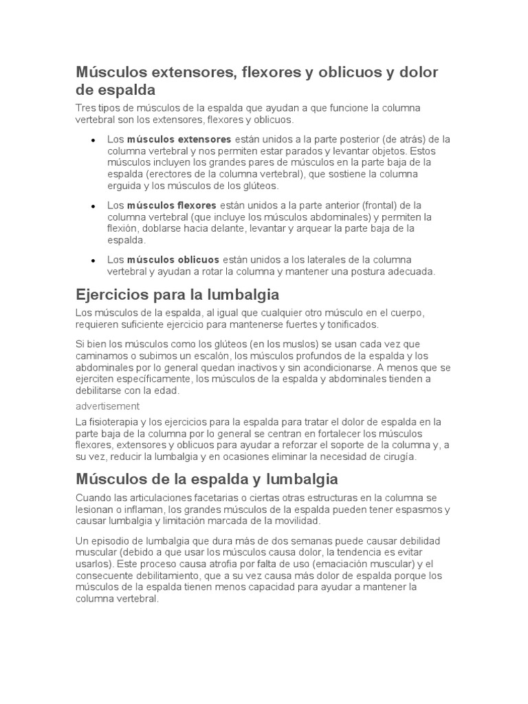 Músculos Extensores | PDF