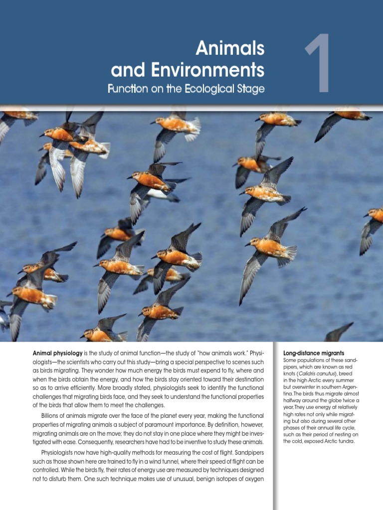 Topic 1 Reading | PDF