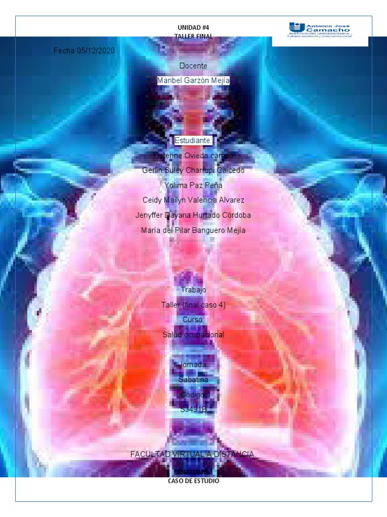Trabajo Final Anat. Caso 4 | PDF | Sistema respiratorio | Pulmón