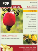 Cashew Nut Grade Chart | Edible Nuts And Seeds | Seed