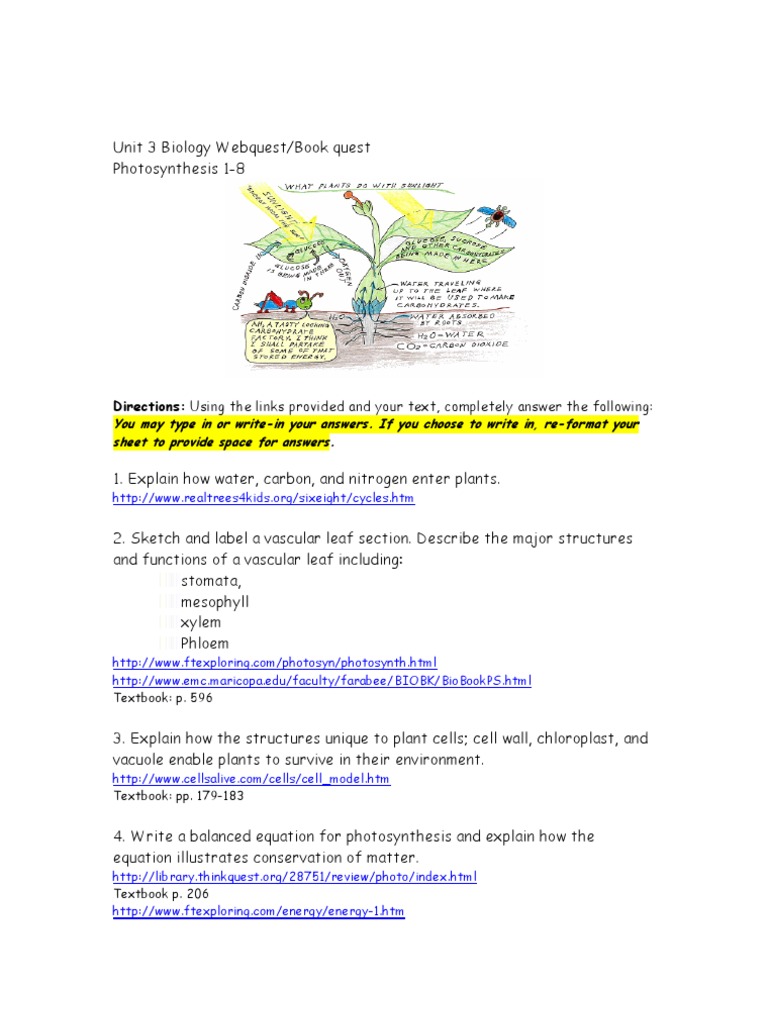 Unit 3 Biology Webquest | PDF | Photosynthesis | Cellular Respiration