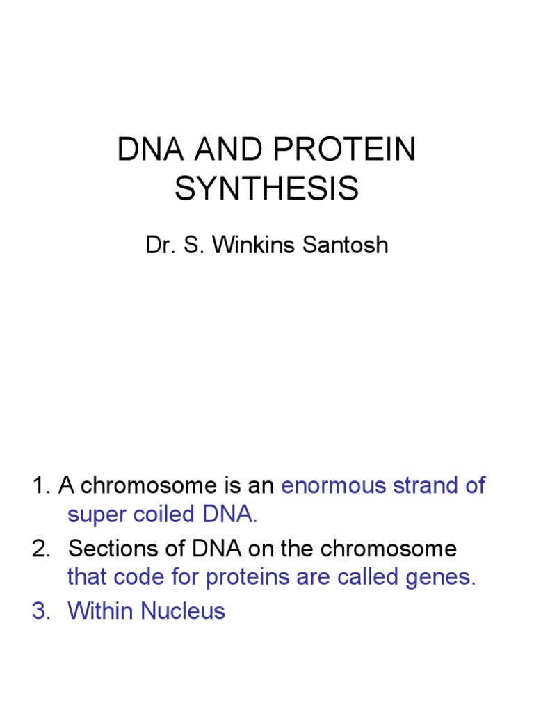 Dna and Protein Synthesis | PDF | Translation (Biology) | Macromolecules